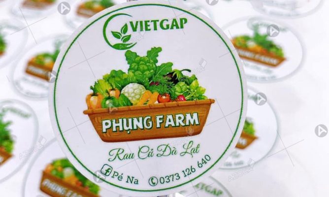 In tem nhãn rau củ quả theo yêu cầu, 39+ mẫu đẹp ấn tượng
