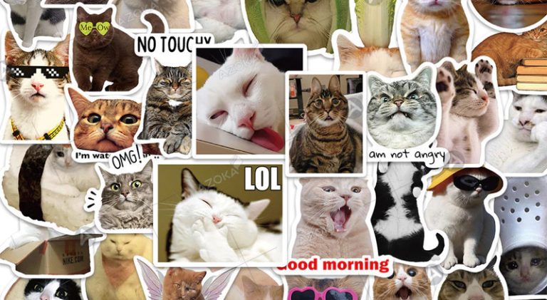 Top 22+ mẫu sticker mèo cute, dễ thương không thể bỏ lỡ