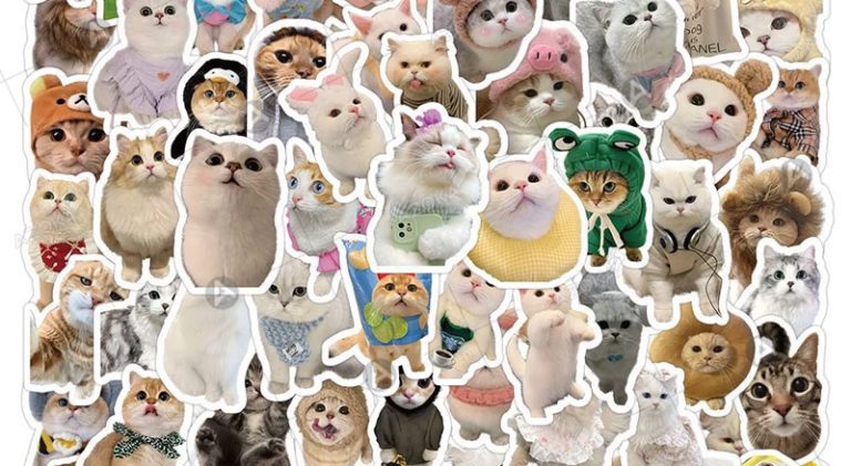 Top 22+ mẫu sticker mèo cute, dễ thương không thể bỏ lỡ