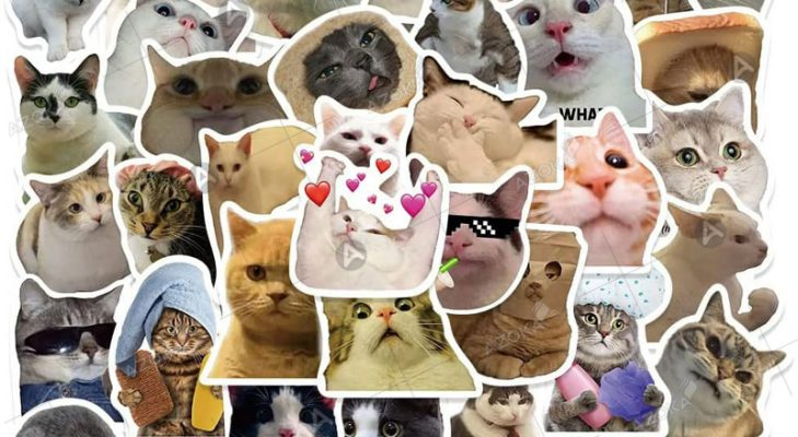 Top 22+ mẫu sticker mèo cute, dễ thương không thể bỏ lỡ