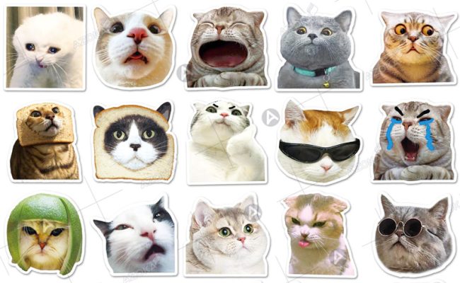 Top 20+ mẫu sticker hài hước khiến bạn phải cười ngất